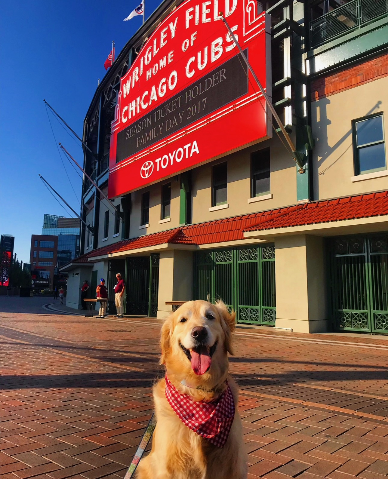 Rest in Peace Southport Golden: A Tribute to Southport Corridor’s ...